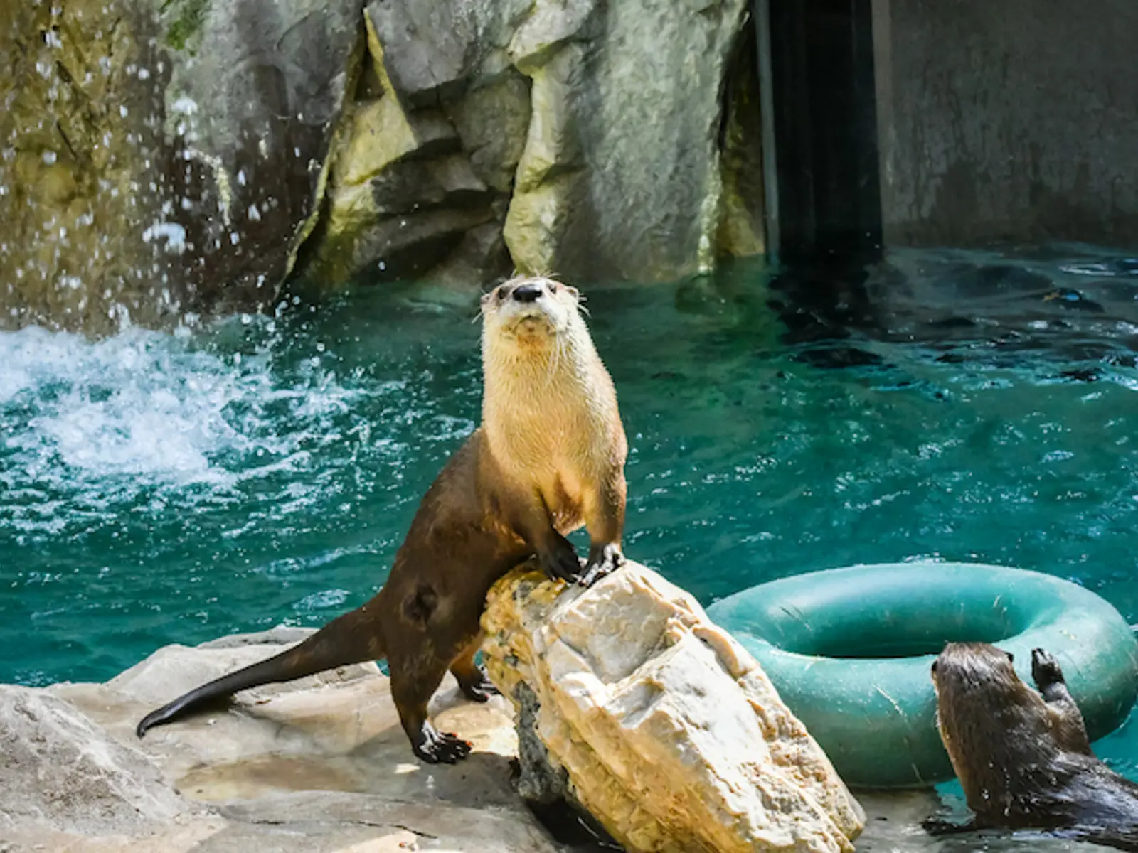 Local Attractions | Idaho Falls Luxury RV Park